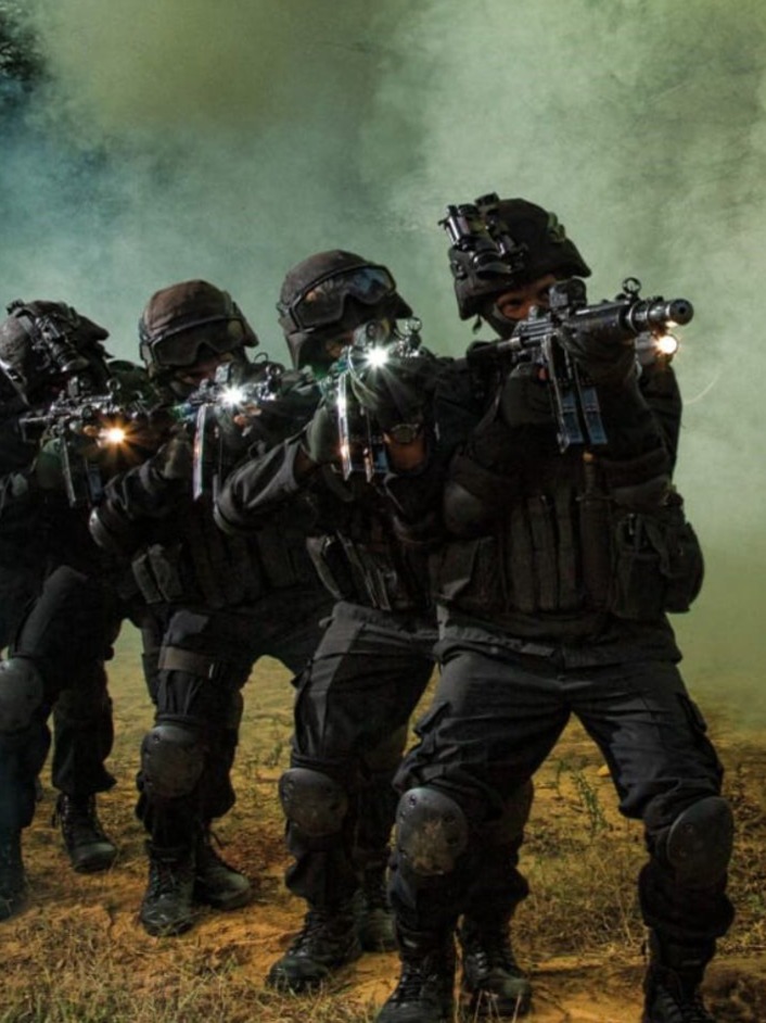 nsg commando weapons