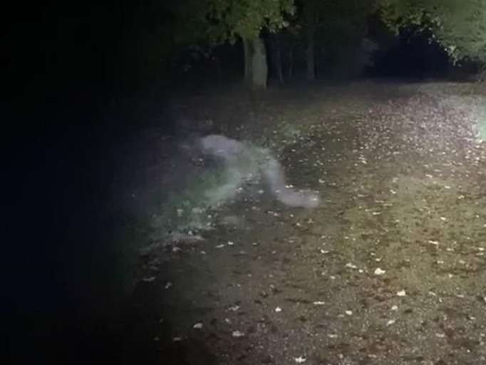 Dog walker’s eerie footage of ‘demon ghost’ terrifies viewers