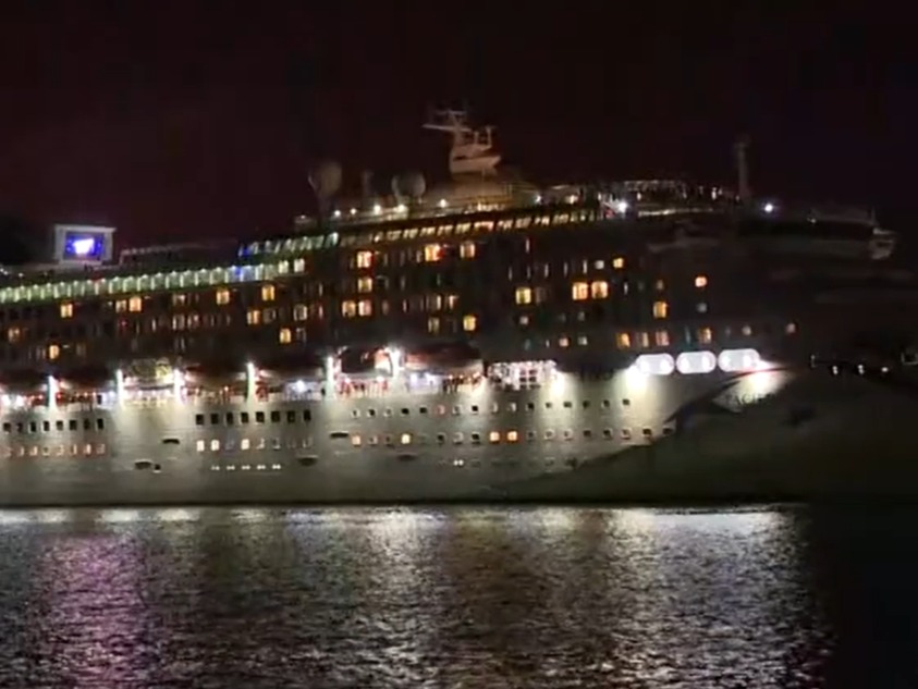 Search underway for woman who fell from cruise ship in SA