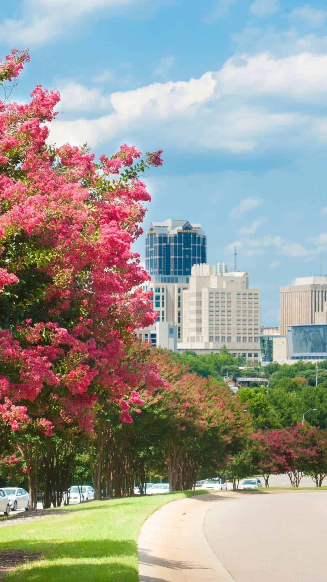 Best Parks In Raleigh, North Carolina