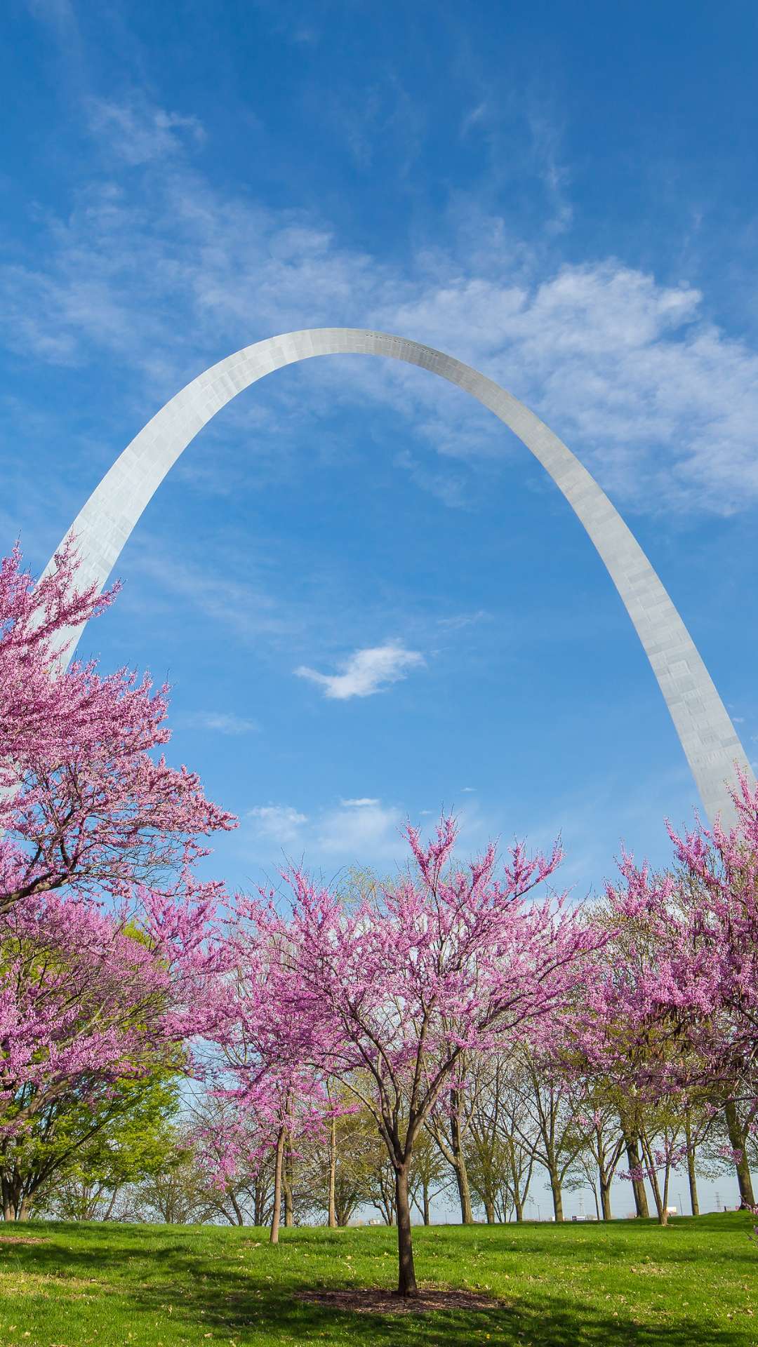 Best State Parks Around St. Louis