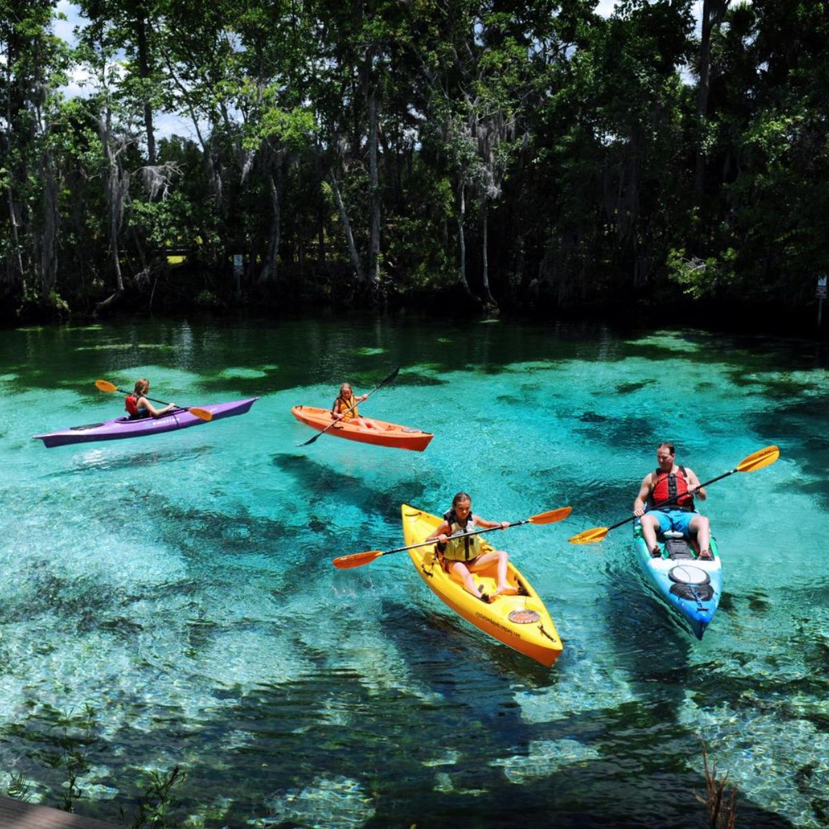 Best Places To Kayak In Florida