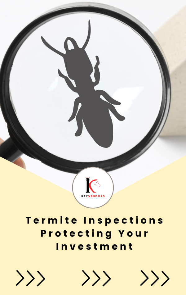 Ultimate Termite Inspections Guide Must Read