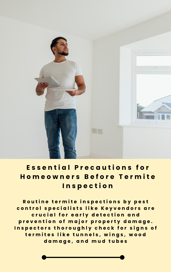 Ultimate Termite Inspections Guide Must Read