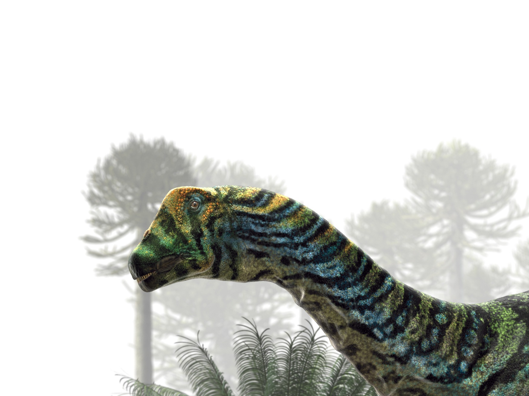 Conheça dinossauros que viveram no Brasil