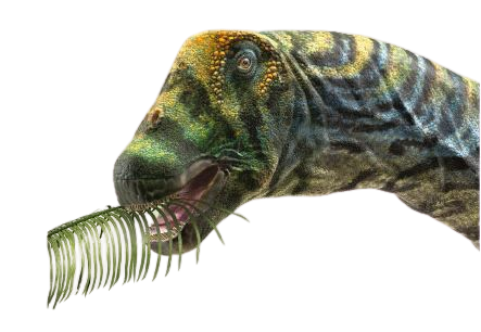 Conheça dinossauros que viveram no Brasil