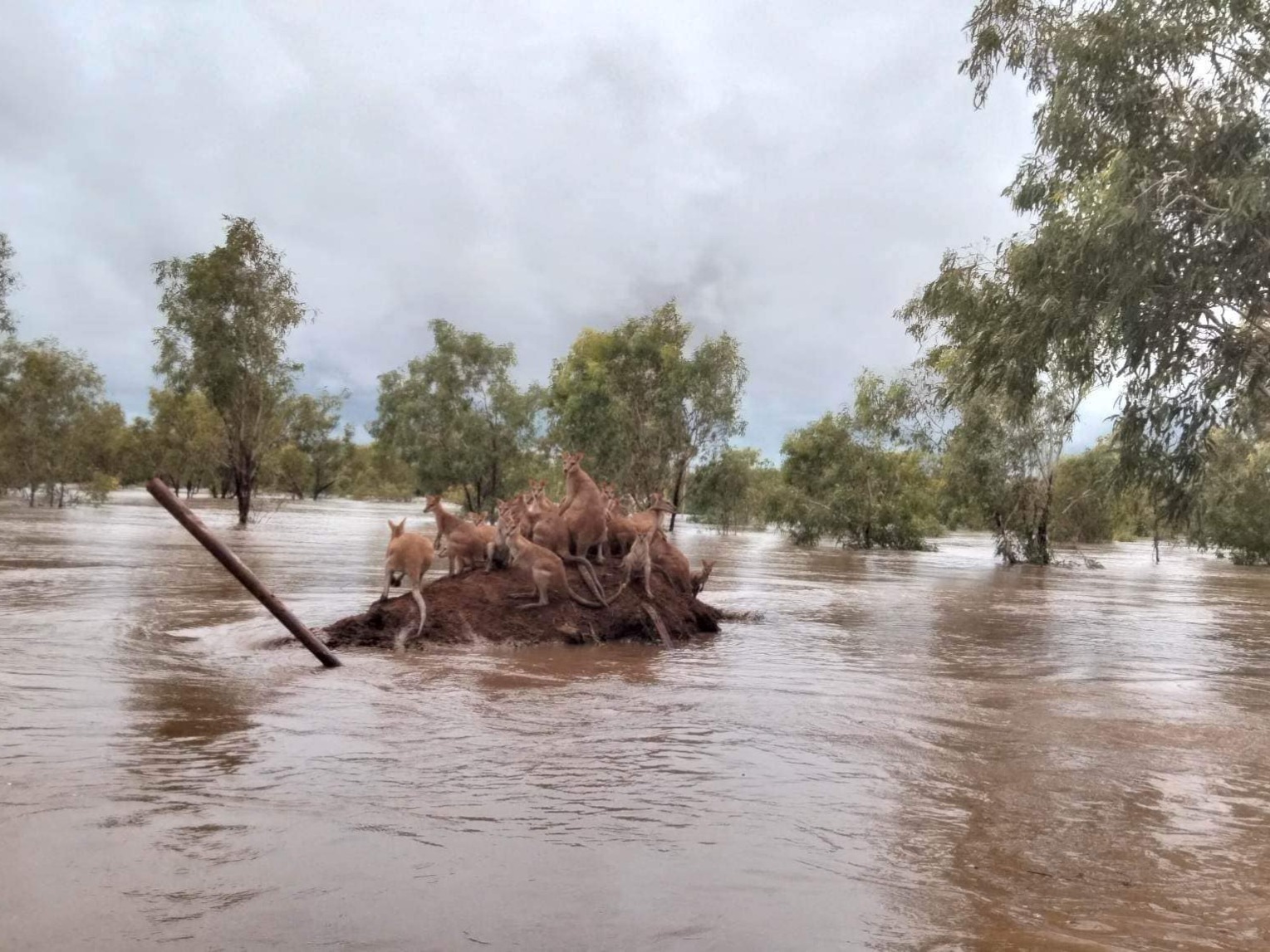 Storms brings record floods to Kimberley