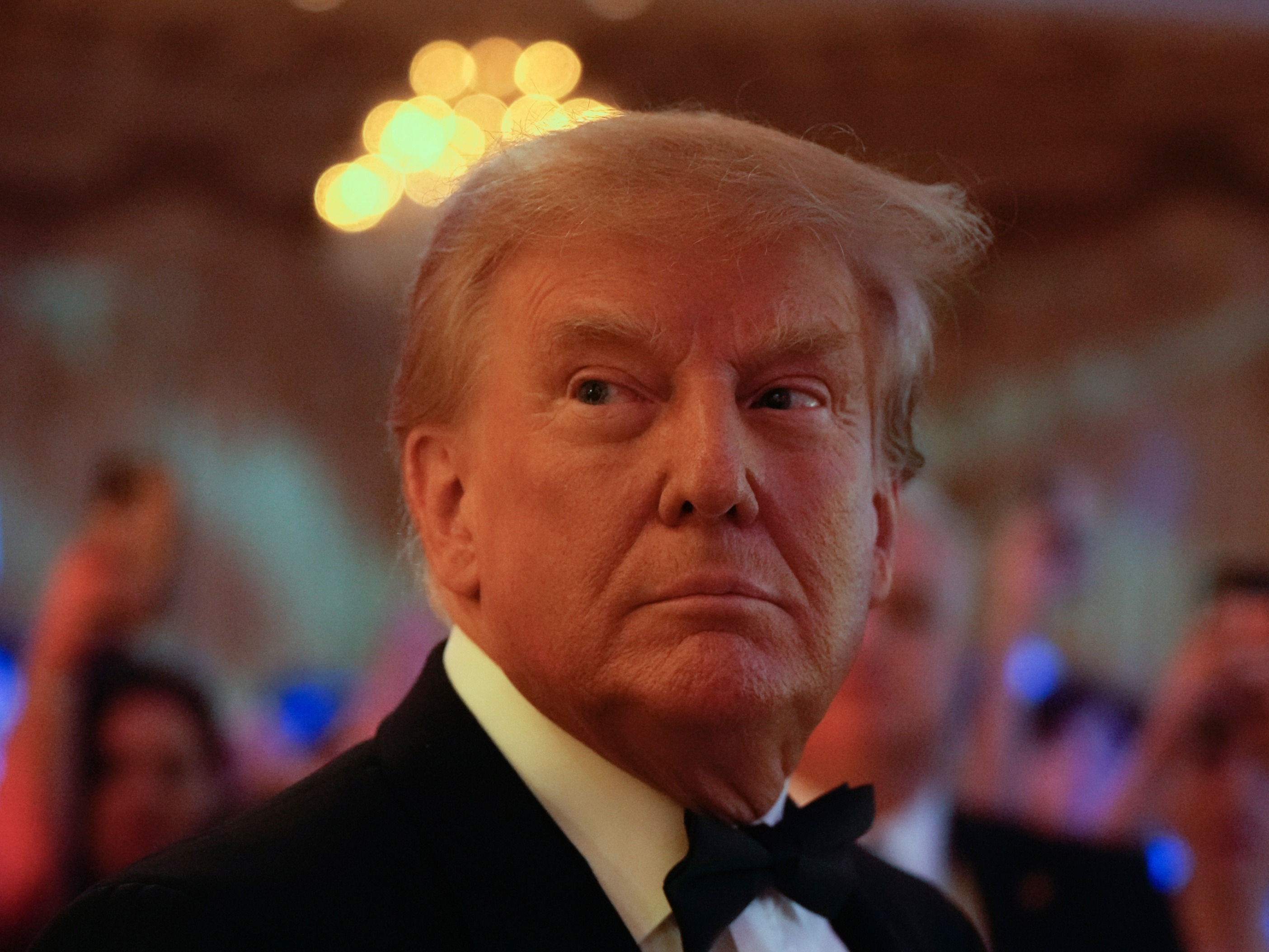 Terminate Parts Of The Constitution