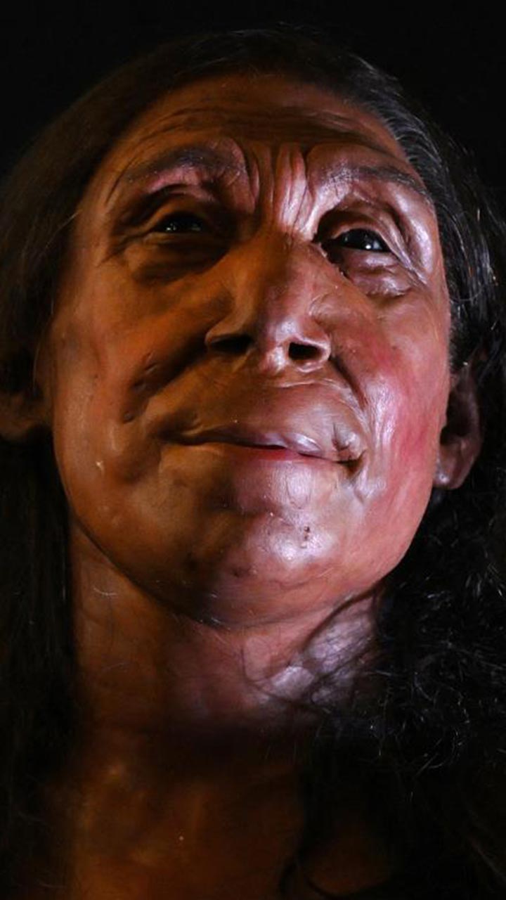 What Is A Neanderthal Woman