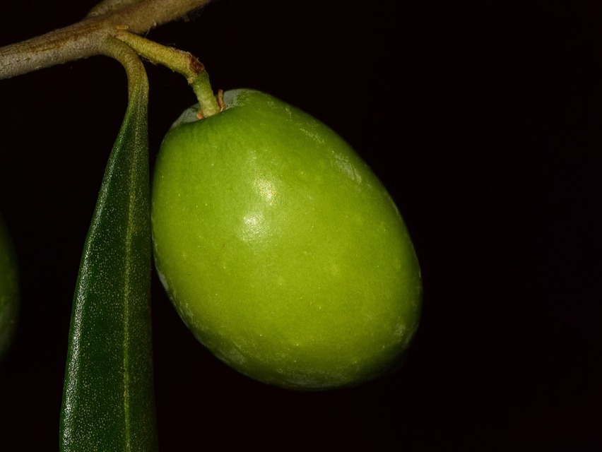 Bizarre Last Meal Requests Of Death Row Inmates