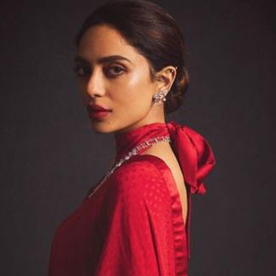 Actors Who Rose To Fame From Web Series