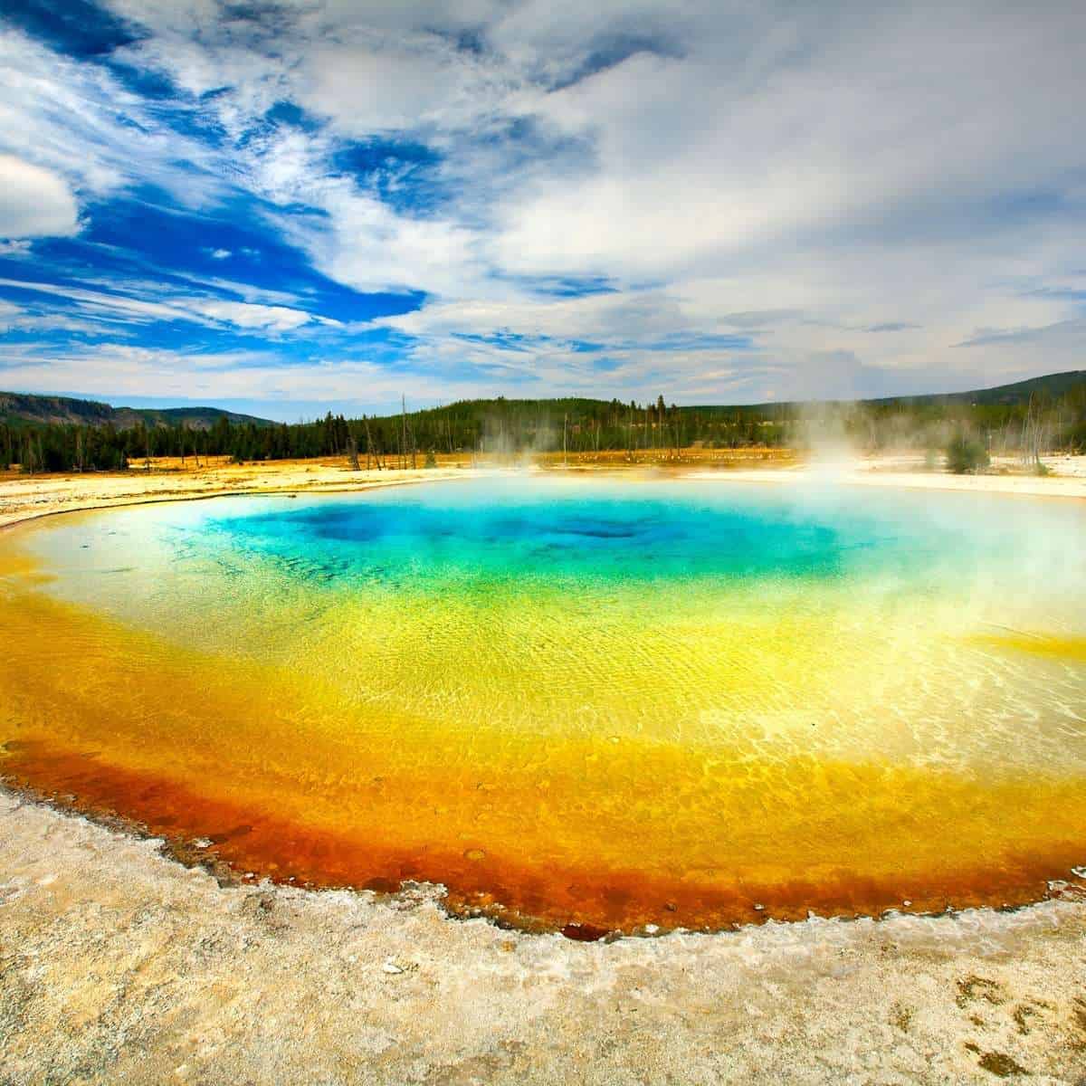 7 Best Yellowstone National Park Tours