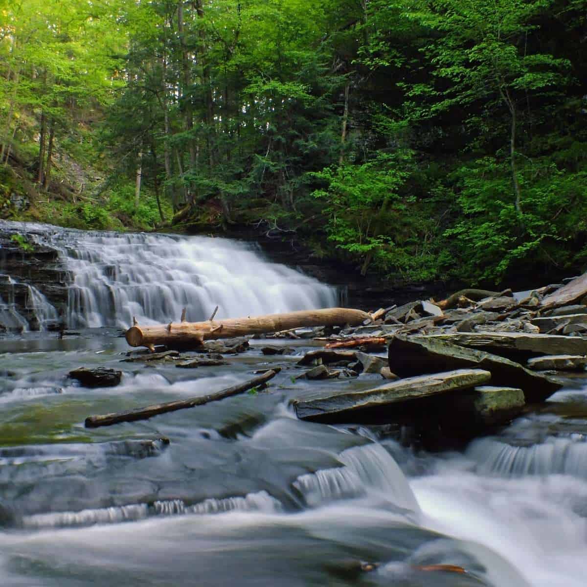 Best Waterfalls In Pennsylvania