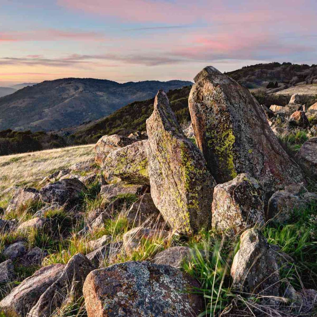 Best Things to Do in Julian, California