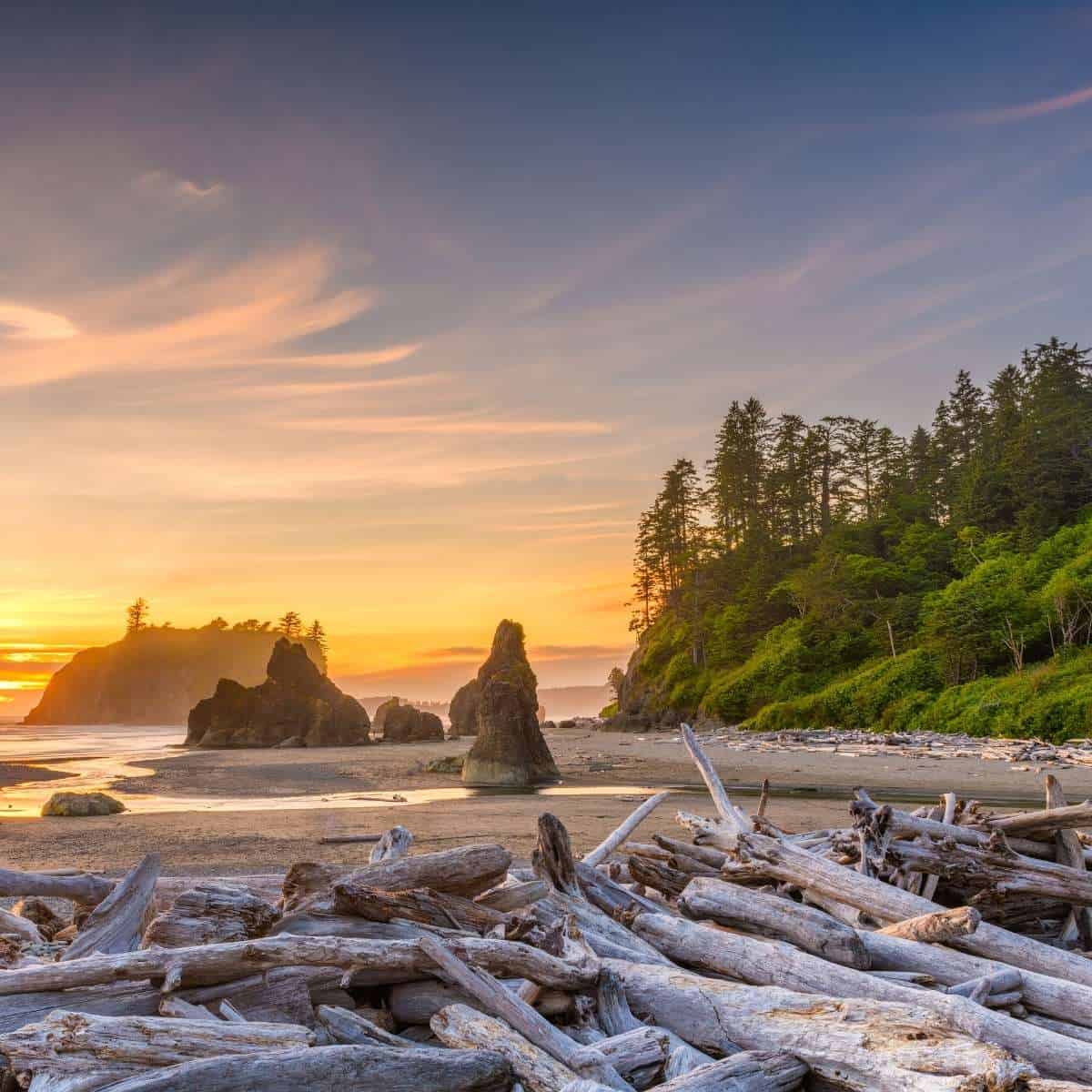 9 Things To Do In Olympic National Park