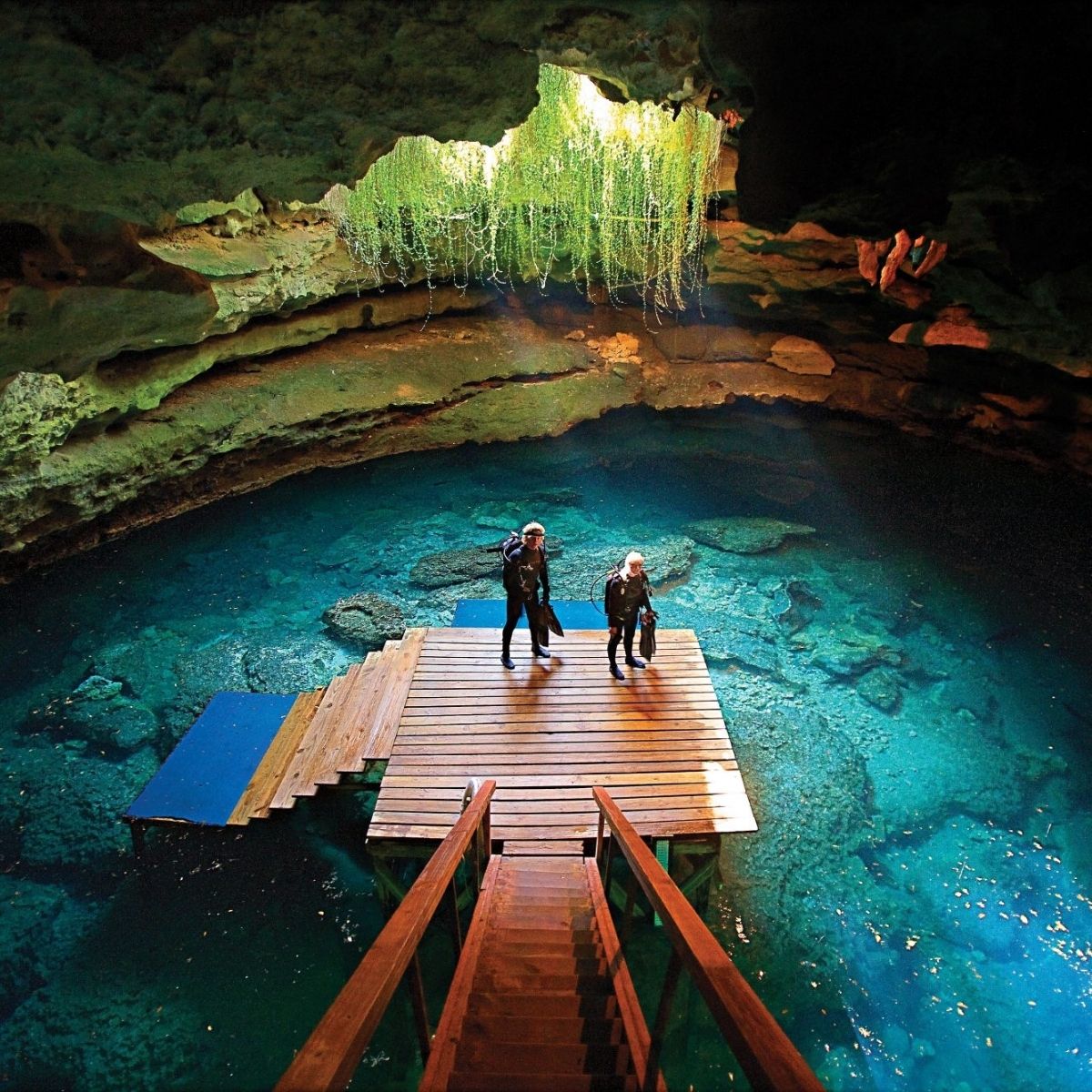 The 11 Best Springs in Florida