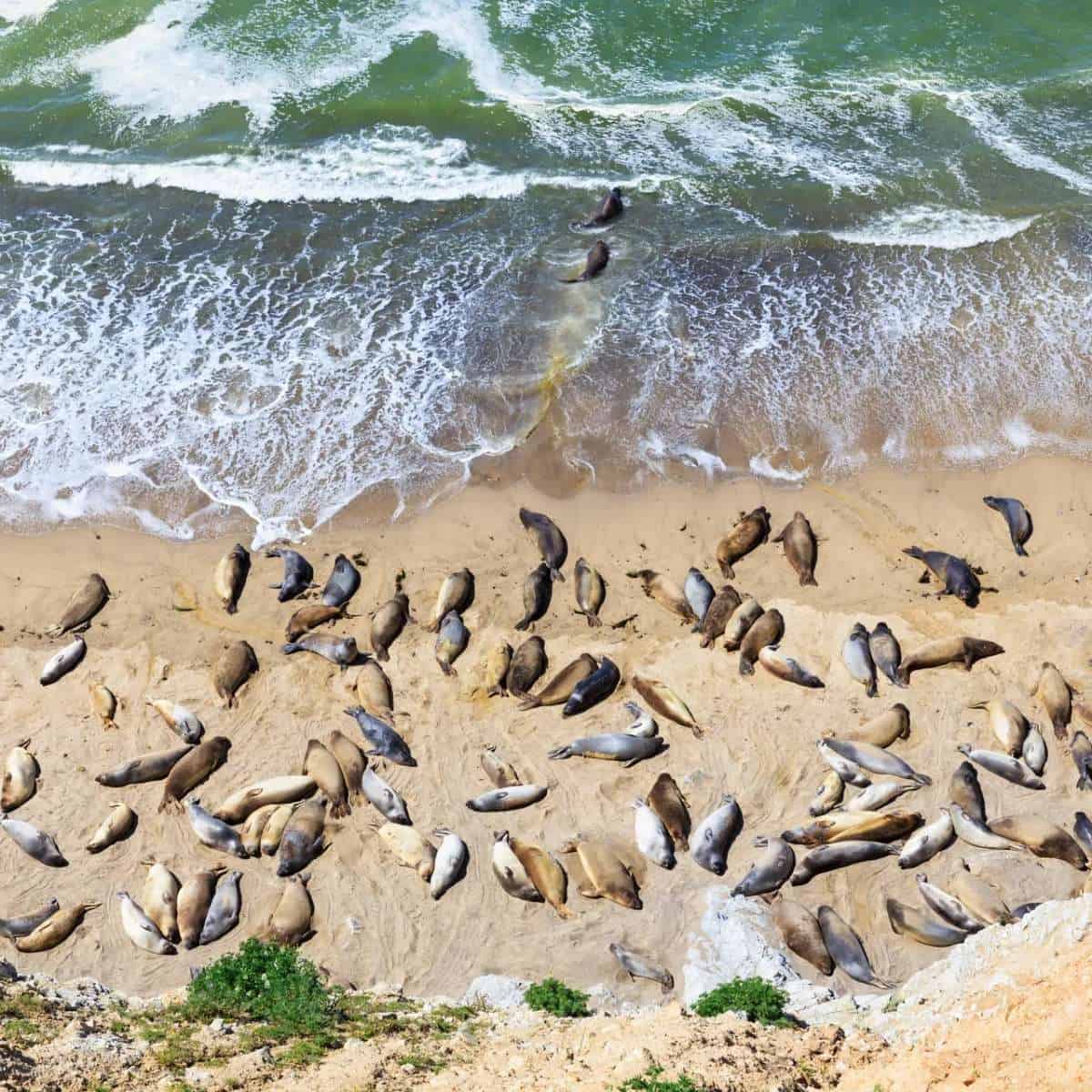 8 Best Places to See Wildlife in the US