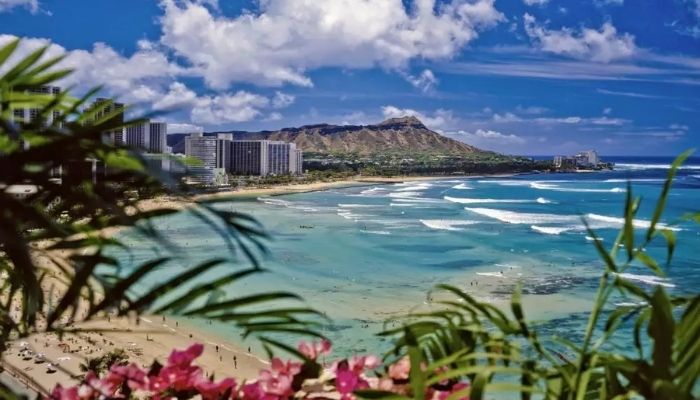 Best Places To Visit In Honolulu
