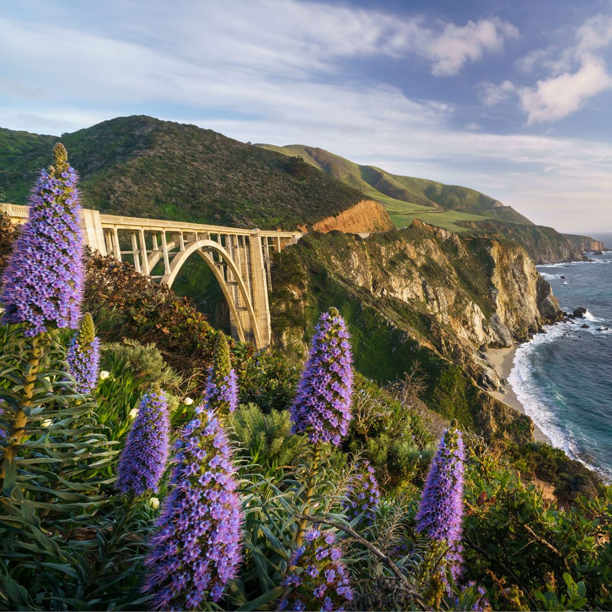 Visit In California In September