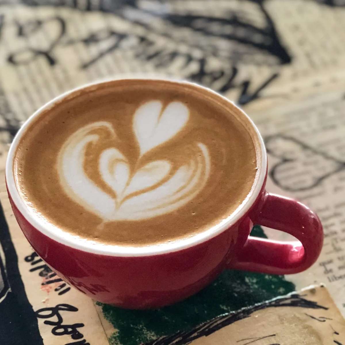 Best Coffee Shops in Puerto Rico
