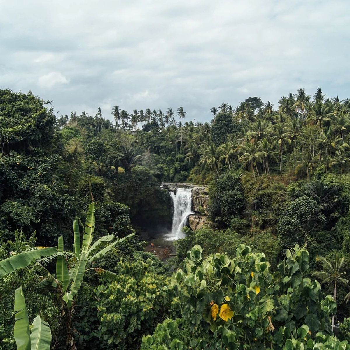 The 10 Best Waterfalls In Panama