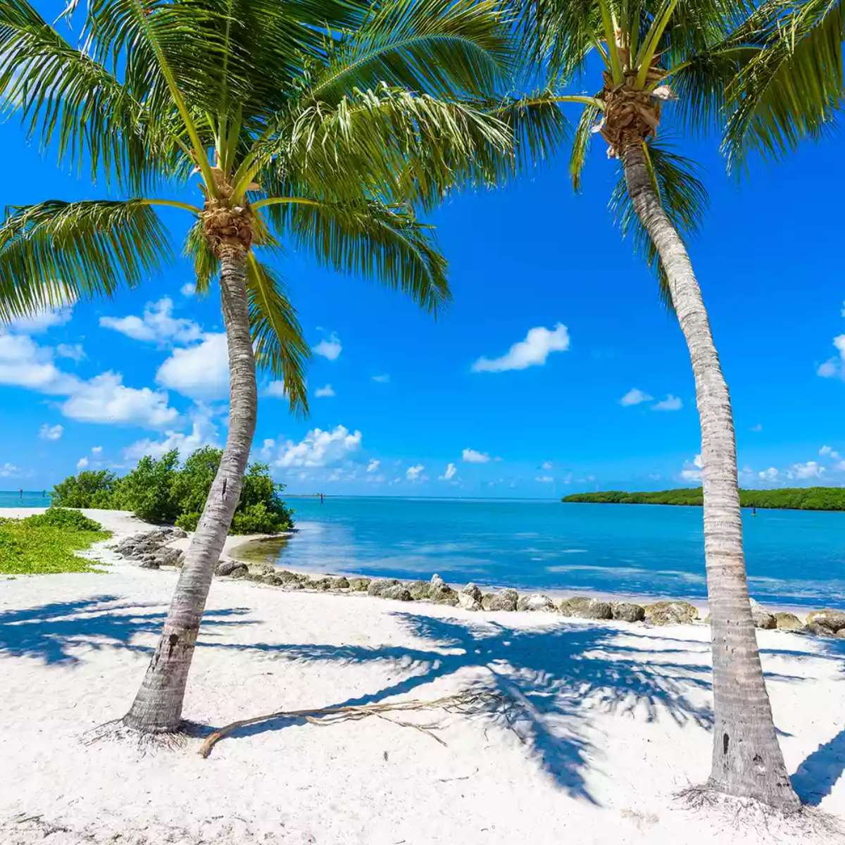 Best Beaches in the Florida Keys