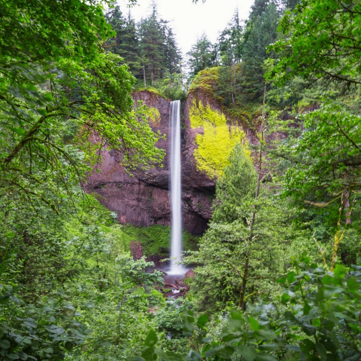 Best Hiking Trails In Portland, OR