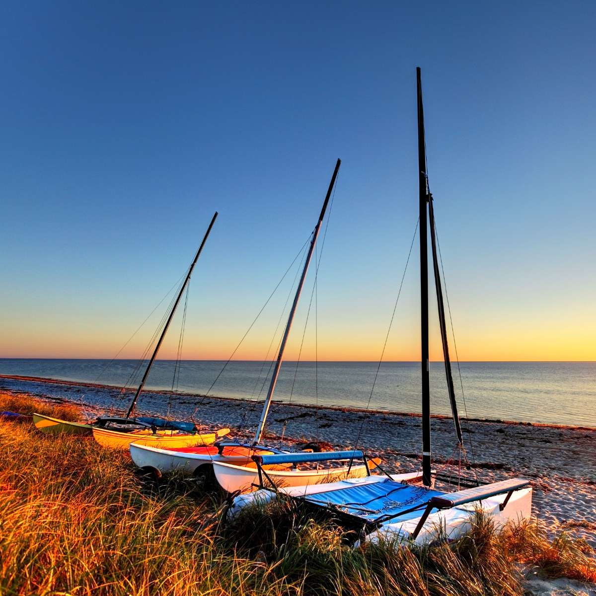 Best Things to Do on Cape Cod